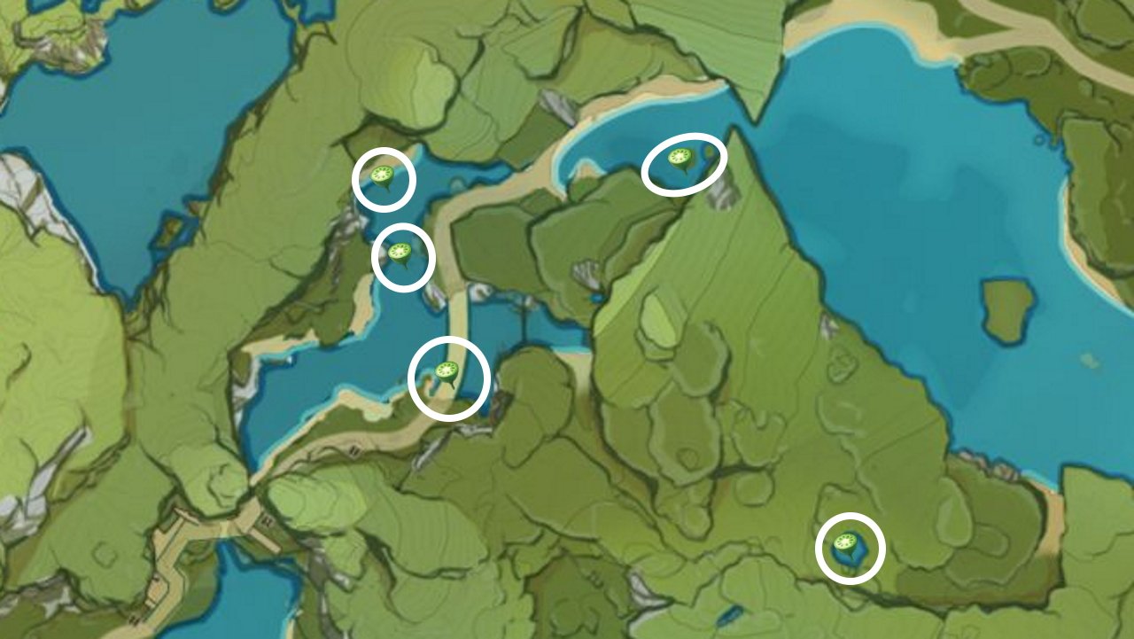 Genshin Impact Lotus Head Locations Farming Guide AllGamers